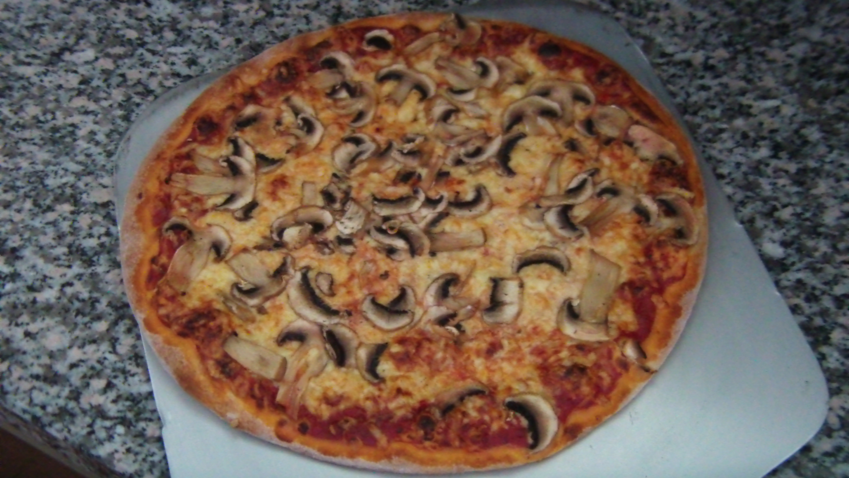 Picas | gardapica2011